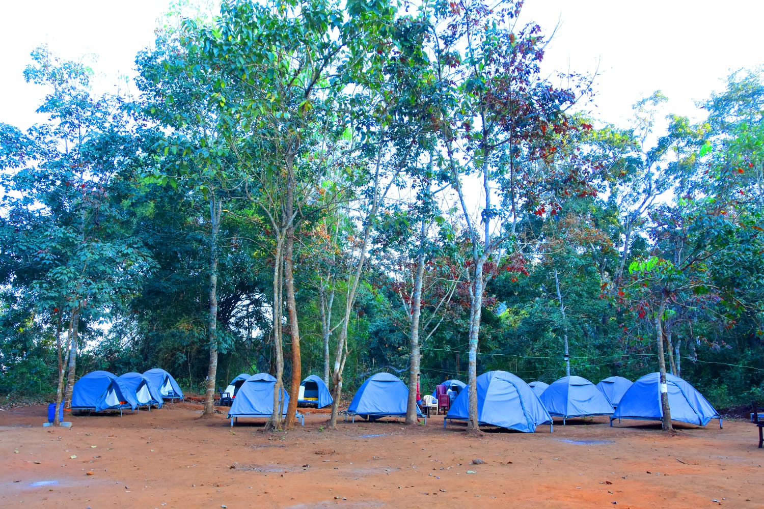 RS Camping Tents - Maredumilli Resorts Booking